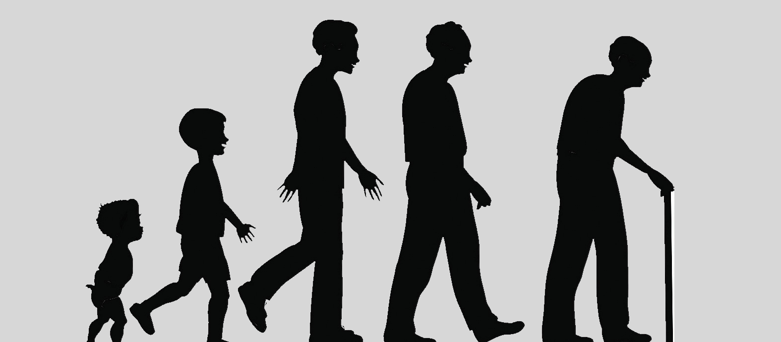 Τα στάδια ανάπτυξης’’ | elenifourli.com